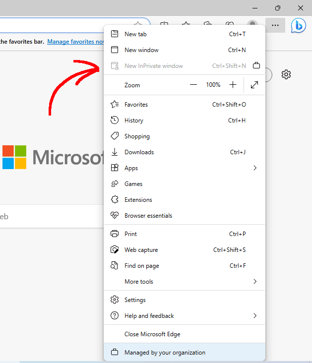 Edge In Private Browsing